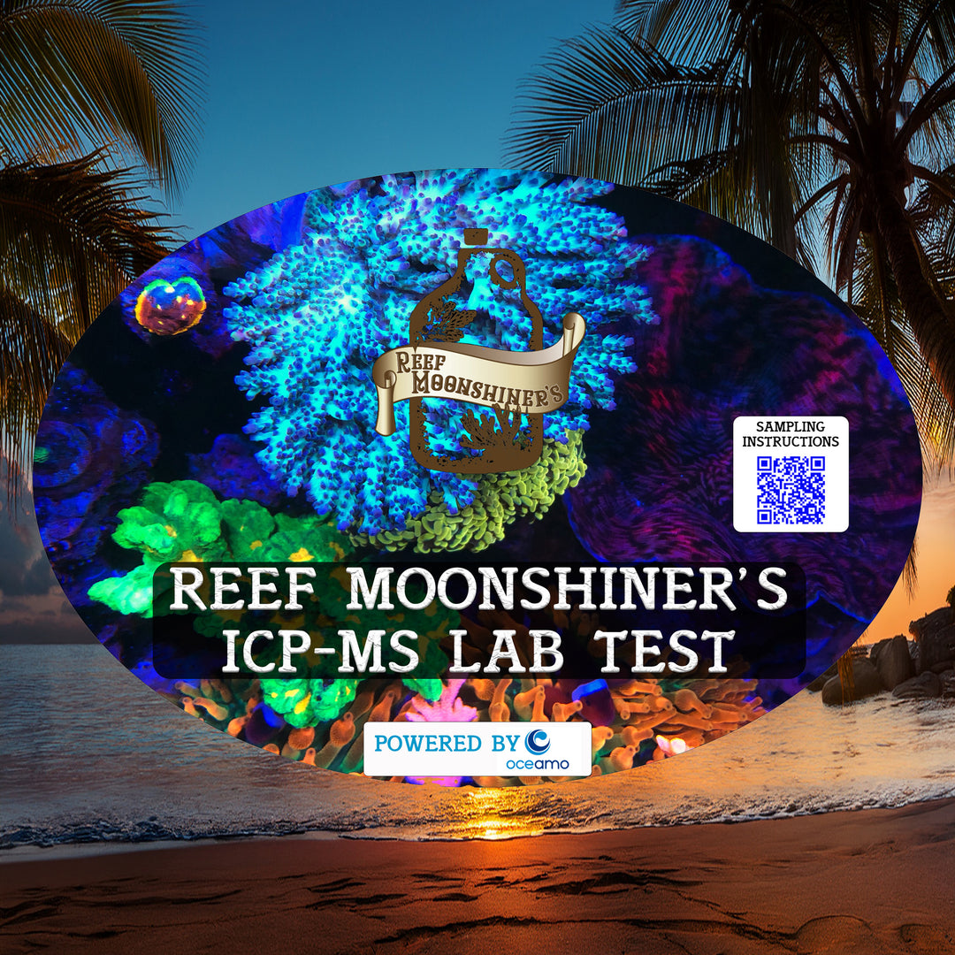 All Products – Reef Moonshiner's