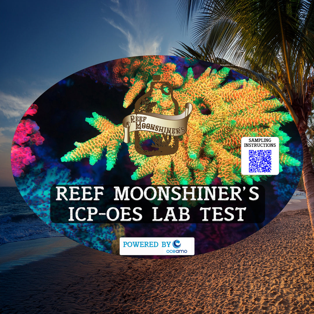 All Products – Reef Moonshiner's